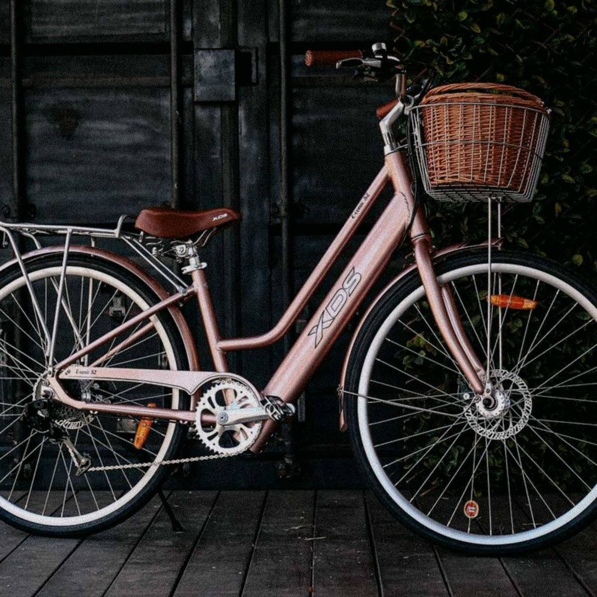 XDS – Beaches Electric Bikes